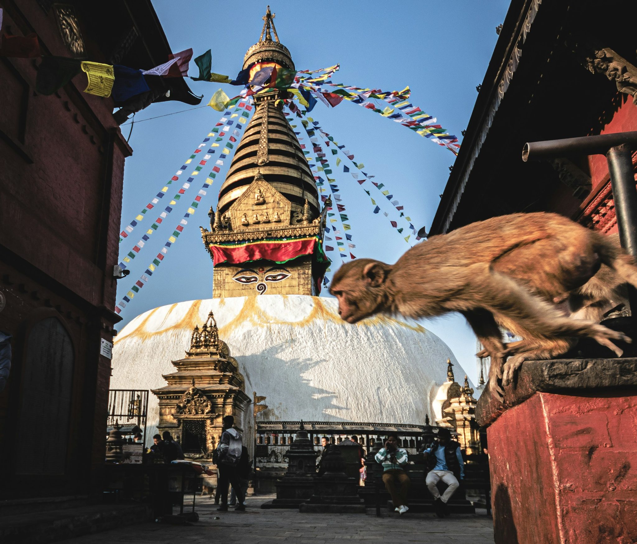 Medical Elective in Nepal - Medical Elective Abroad 2025 & 2026