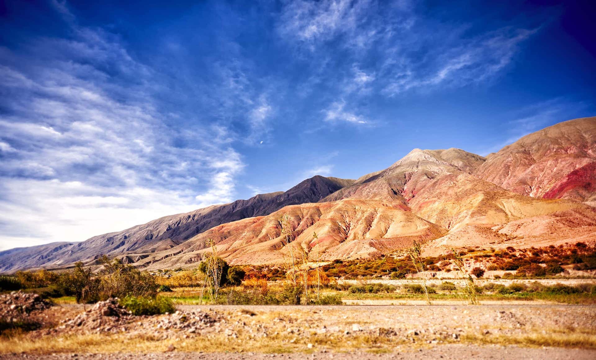 Medical Elective in Argentina - Medical Elective Abroad 2025 & 2026